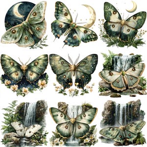 JPEG Watercolor Luna Green Moth Clipart Bundle Mystical Moth Clipart ...