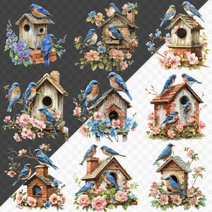 Watercolor Birdhouse Clipart Bundle Bird Clipart Floral Bird Clipart ...