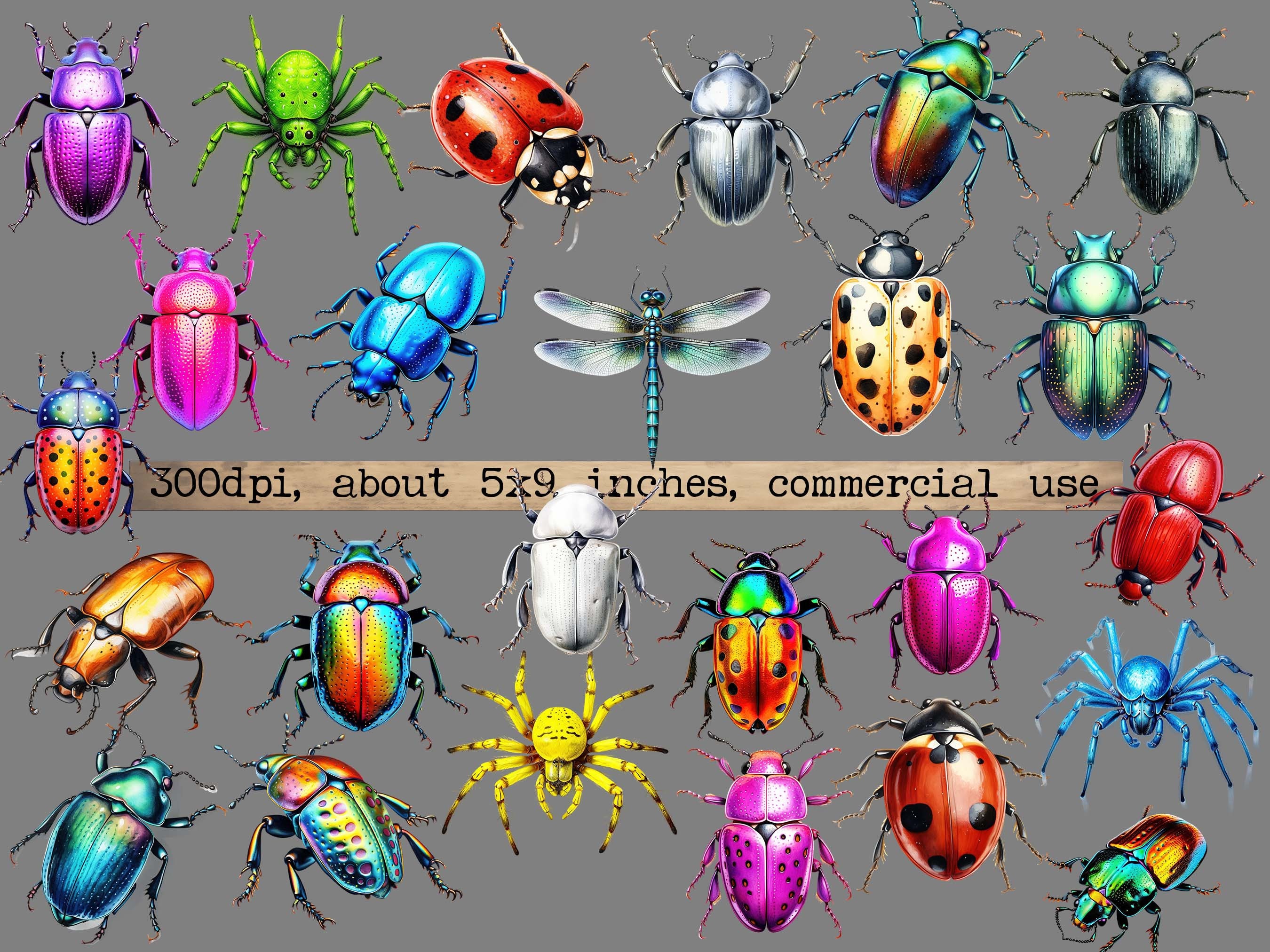 PNG Watercolor Bugs Clipart Bundle Beetle PNG Spider Ladybug Paper ...