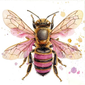 JPEG Watercolor Fantasy Pink Honey Bee Clipart Bundle JPEG Nature ...