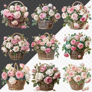 PNG Watercolor Roses Baskets Clipart Bundle Spring Clipart Watercolor ...