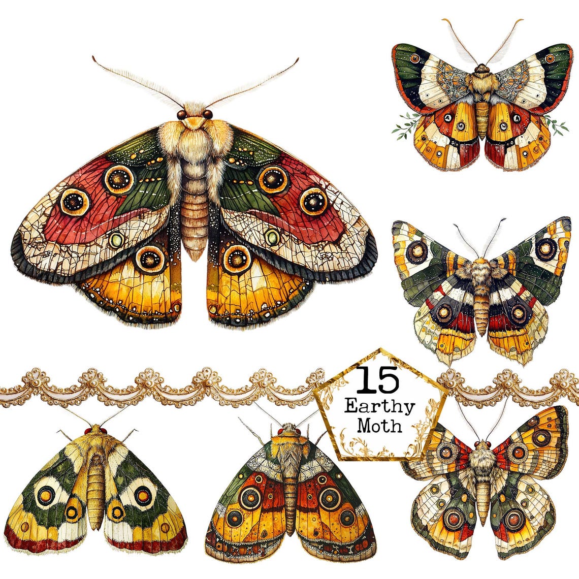 PNG + JPEG Watercolor Earthy Moth Clipart Bundle Spring Clipart ...