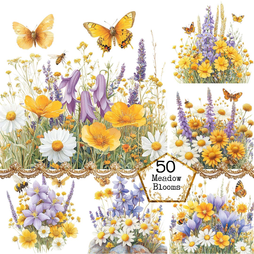 PNG + JPEG Watercolor Meadow Flowers Clipart Bundle Spring Flowers Wild ...