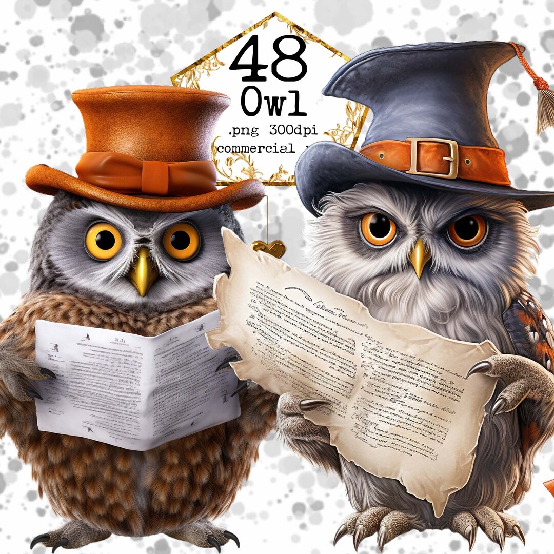 PNG Retro Owl Clipart Bundle Owl Clipart Cute Clipart Commercial Use ...