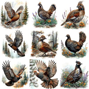 JPEG Ruffed Grouse Hunting Clipart Bundle Grouse Hunter Clipart Hunting ...