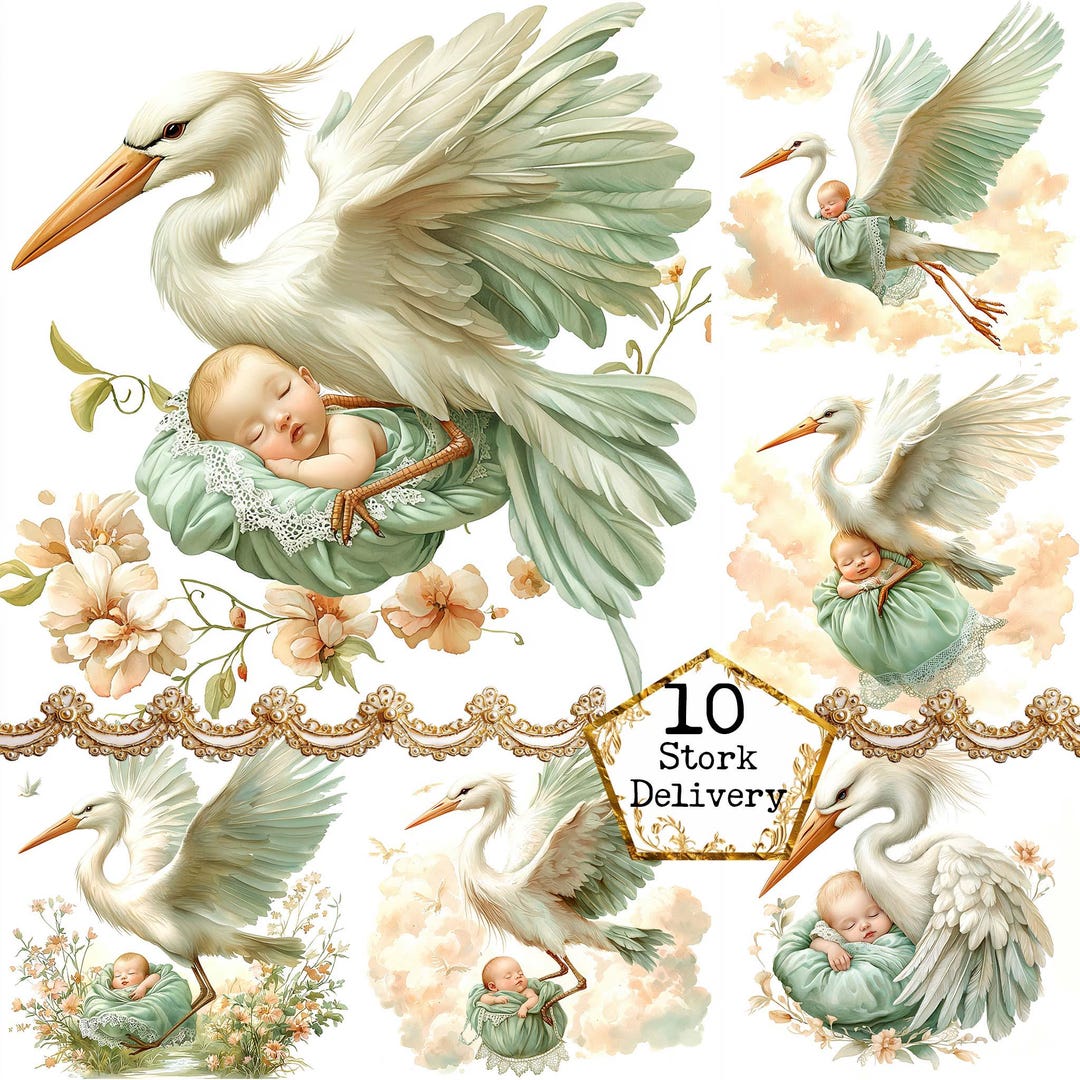 JPEG Watercolor Stork Baby Clipart Bundle Nursery Clipart Baby Shower ...