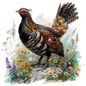 JPEG Ruffed Grouse Hunting Clipart Bundle Grouse Hunter Clipart Hunting ...