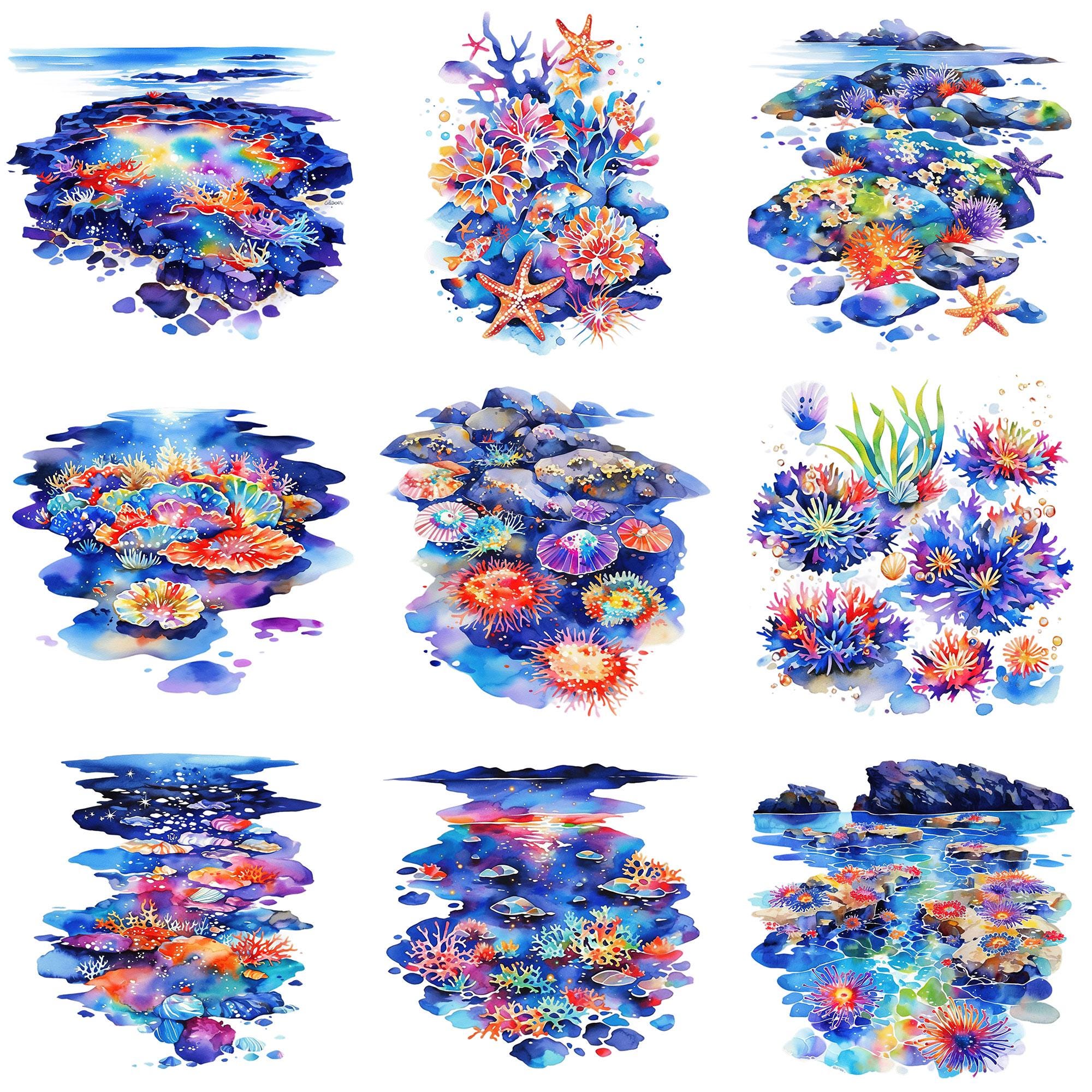 Colorful Tidepool Clipart Bundle Magical Lake, Natural Waters Instant ...