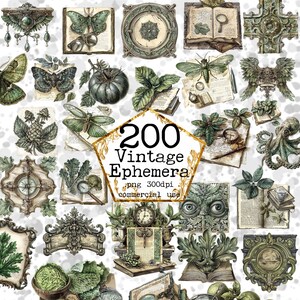 BIG PNG Vintage Ephemera Clipart Bundle Monochromatic Clipart ...