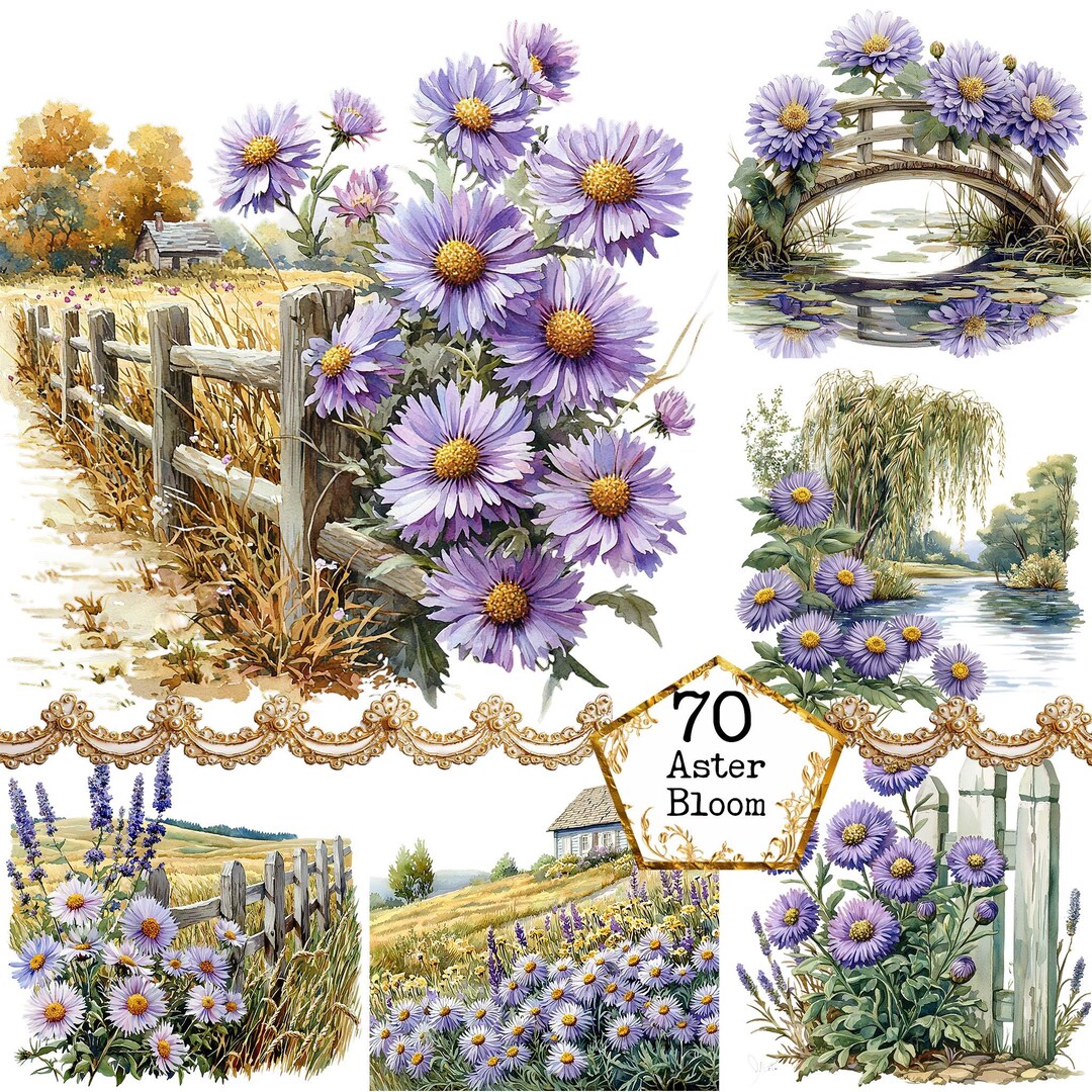PNG + JPEG Watercolor Aster Bloom Clipart Bundle Spring Floral Scenery ...
