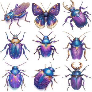 JPEG Purple Bugs Clipart Bundle Watercolor Bugs Insect Clipart ...