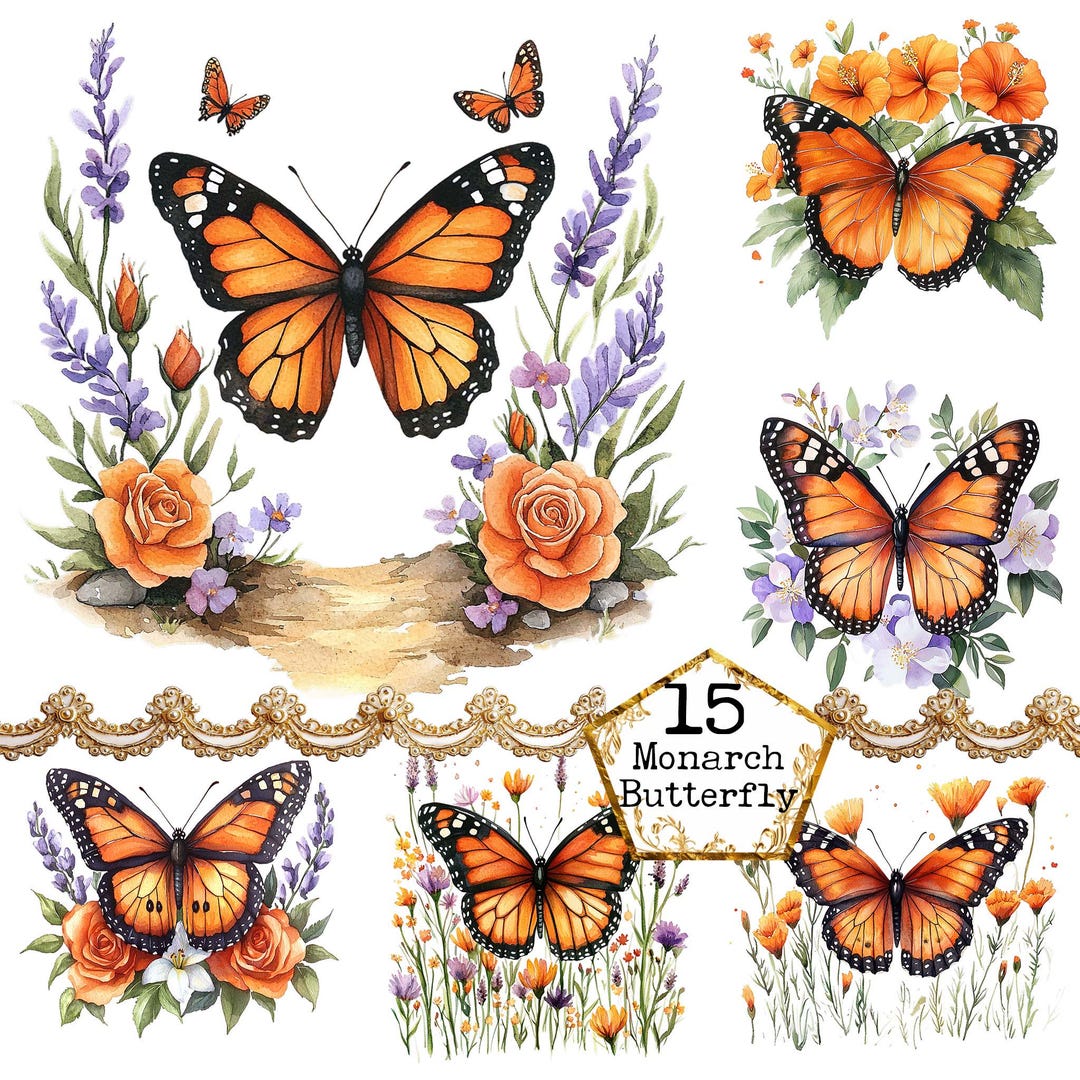 PNG + JPEG Watercolor Monarch Butterfly Clipart Bundle Floral Butterfly ...