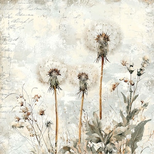 JPEG Scrapbook Dandelion Digital Paper Pack 12x12 Inches Weathered ...