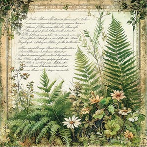 JPEG Scrapbook Fern Digital Paper Pack 12x12 Inches Weathered Paper ...