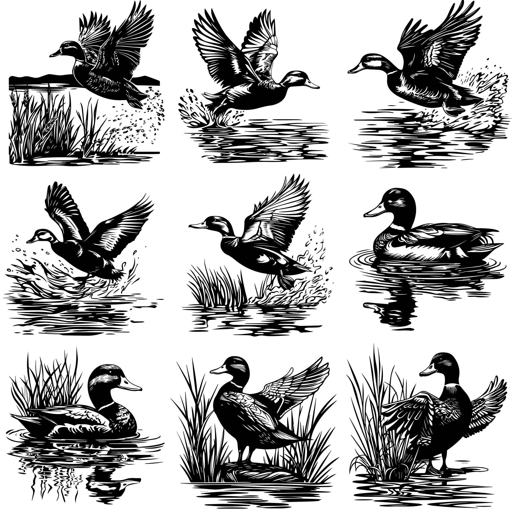 70 Mallard Duck Svg, Dxf, Eps, Ai, Pdf, Jpg Png Hunter Svg, Dxf Files ...