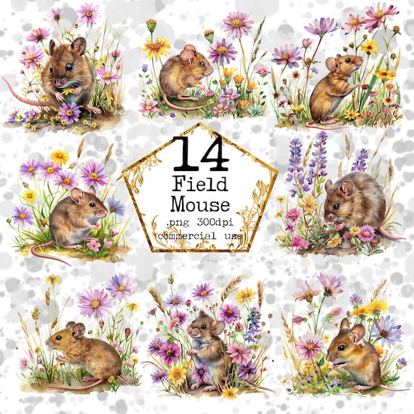 Field Mouse - Etsy