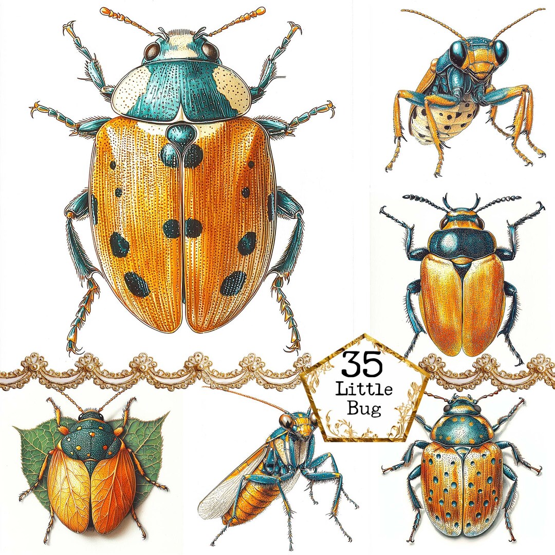 PNG Watercolor Bugs Clipart Bundle Beetle PNG Moth Beetle Butterfly ...