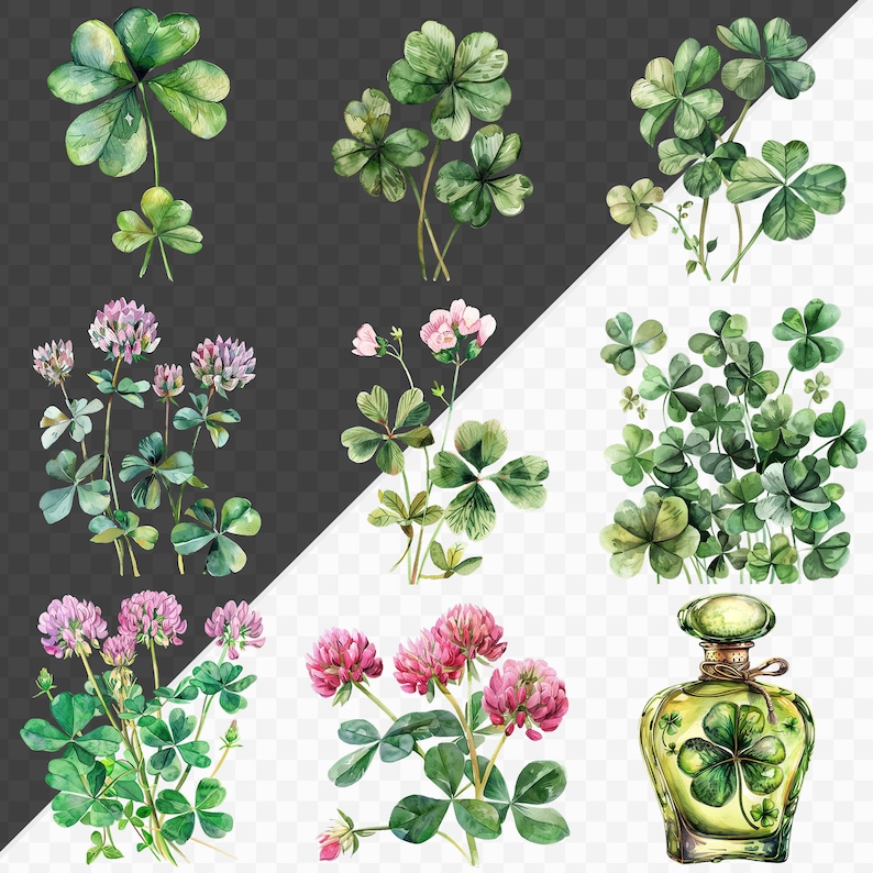 Watercolor Clover Clipart Floral Shamrock Wreaths PNG St. Patrick Theme ...