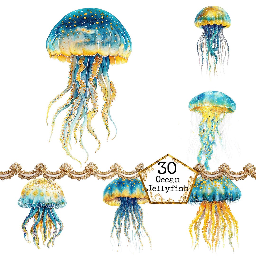 PNG + JPEG Watercolor Jelly Fish Clipart Bundle Sea Life Ocean Life Sea ...