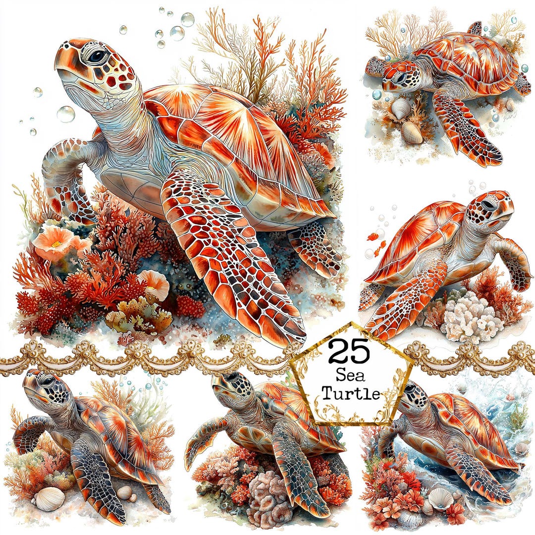 JPEG Watercolor Sea Turtle Clipart Bundle Coral Reef Ocean Clipart ...
