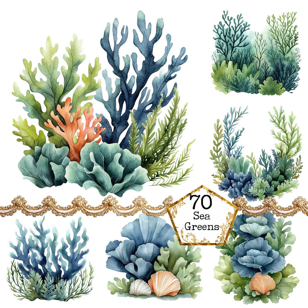 PNG + JPEG Watercolor Coral Reef Clipart Bundle See Life Clipart Ocean ...