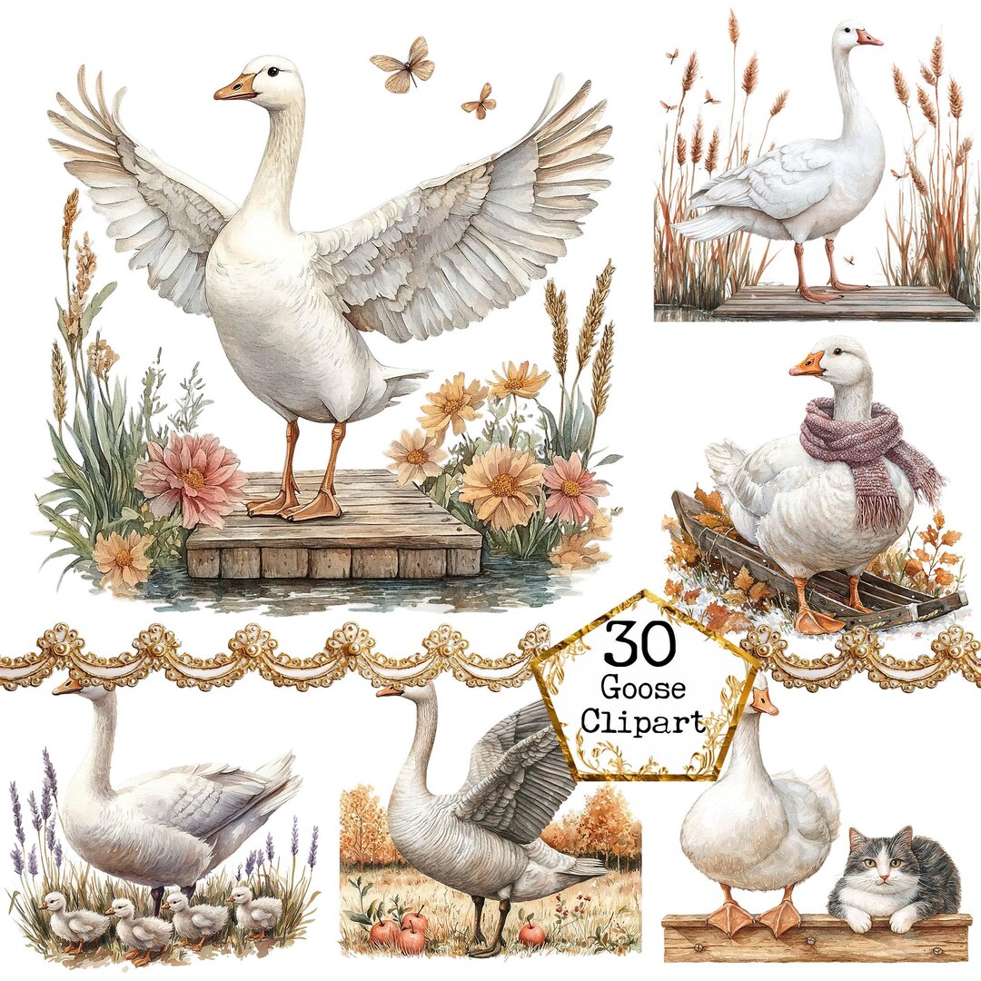 PNG + JPEG Watercolor Goose Clipart Bundle Farm Bird Clipart Coop ...