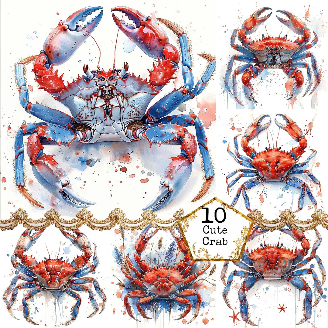 JPEG Watercolor Crab Clipart Bundle Summer Clipart Ocean Life Printable ...