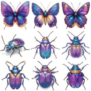 JPEG Purple Bugs Clipart Bundle Watercolor Bugs Insect Clipart ...