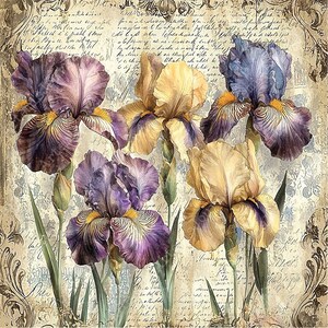 JPEG Scrapbook Vintage Iris Background Papers 12 X 12 Digital Paper ...