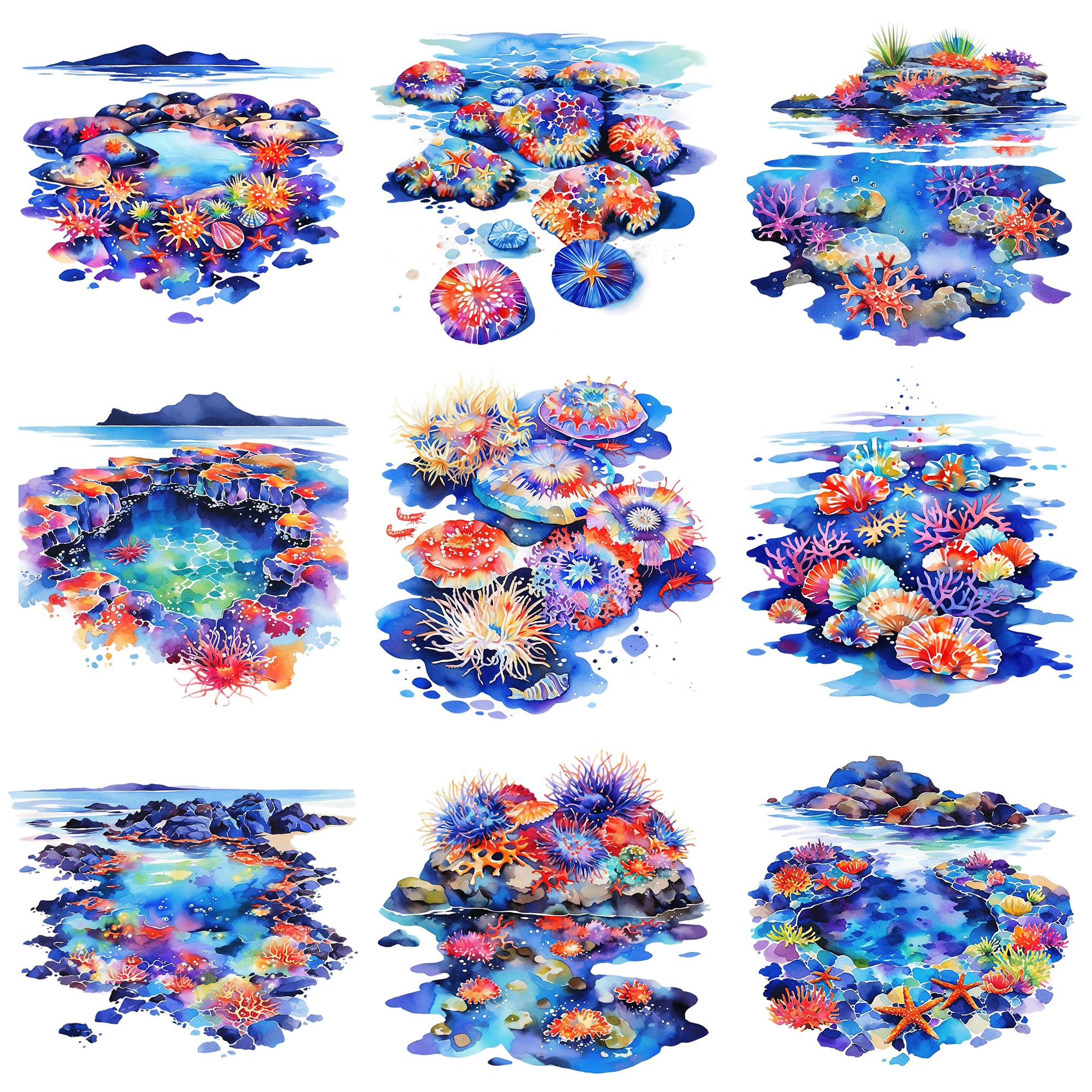 Colorful Tidepool Clipart Bundle Magical Lake, Natural Waters Instant ...