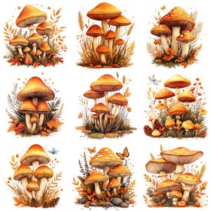 PNG + JPG Watercolor Forest Mushroom Clipart Bundle Magical Mushroom ...