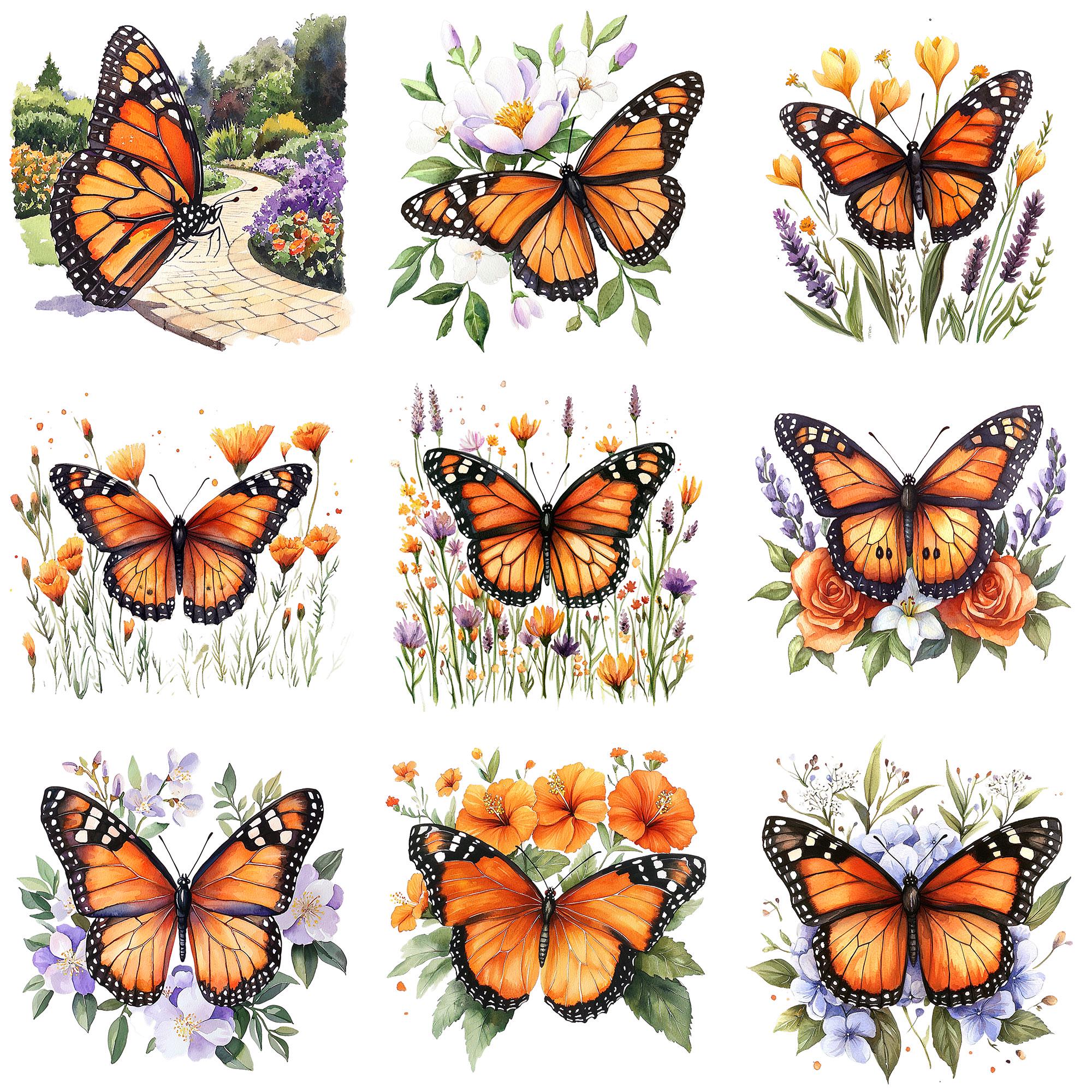 PNG + JPEG Watercolor Monarch Butterfly Clipart Bundle Floral Butterfly ...