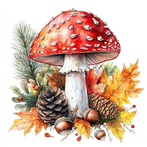 JPEG Magical Autumn Forest Mushroom Clipart Bundle Red Mushroom ...