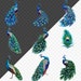 Fancy Peacock Clipart Bundle PNG Magical Dress PNG Commercial Use ...