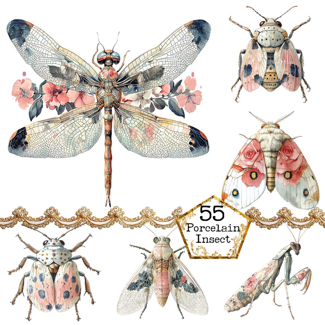 PNG + JPEG Watercolor Insect Clipart Bundle Pastel Butterfly Moth ...