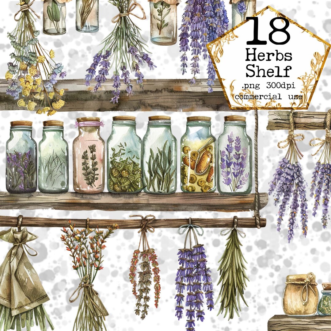 PNG Herbs Shelf Clipart Bundle PNG Watercolor Cooking PNG Commercial ...