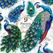 Fancy Peacock Clipart Bundle PNG Magical Dress PNG Commercial Use ...
