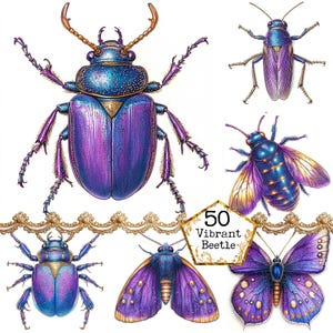 JPEG Purple Bugs Clipart Bundle Watercolor Bugs Insect Clipart ...