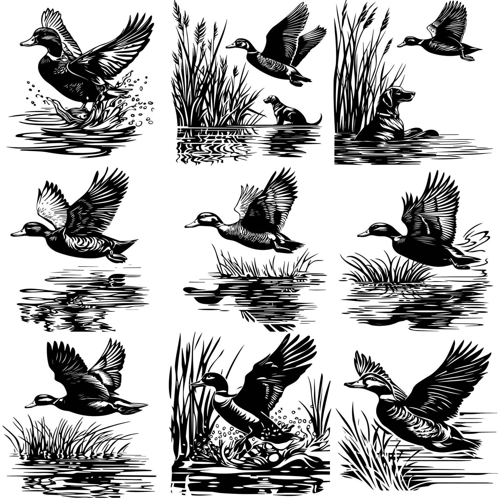 70 Mallard Duck Svg, Dxf, Eps, Ai, Pdf, Jpg Png Hunter Svg, Dxf Files ...