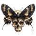 JPEG Skull Moth Clipart Bundle Fantasy Skull Gothic Skull Commercial ...