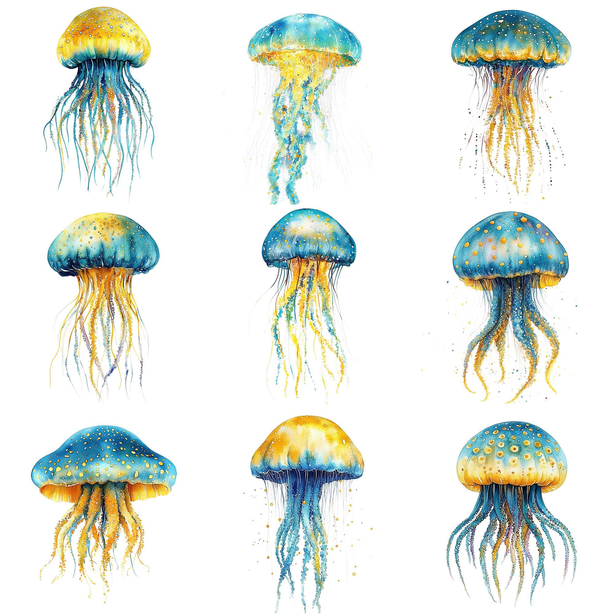 PNG + JPEG Watercolor Jelly Fish Clipart Bundle Sea Life Ocean Life Sea ...