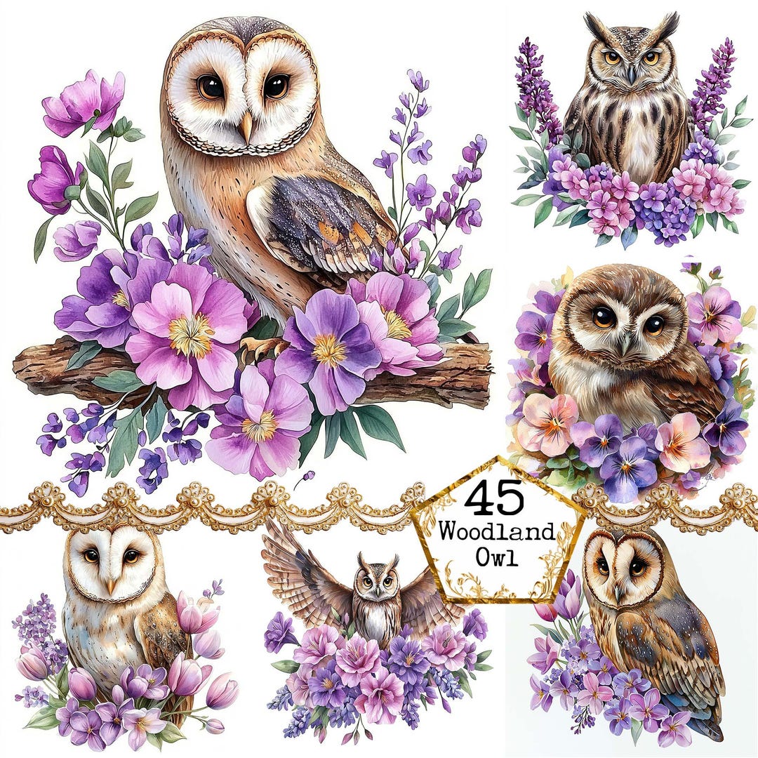 JPEG Watercolor Cute Floral Owl Clipart Bundle Woodland Clipart ...