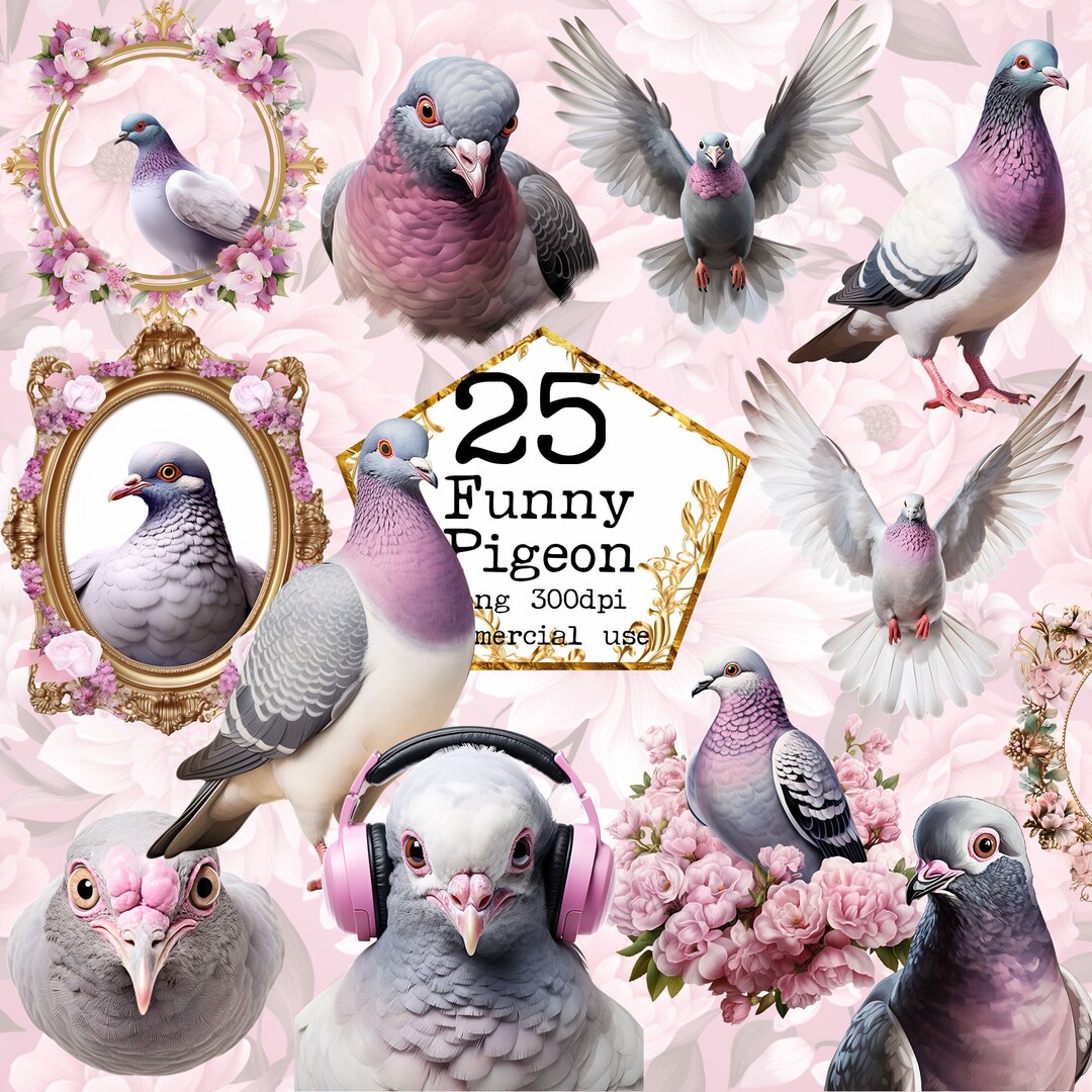 Dove Clipart Bundle Floral Doves Clipart Floral Frames PNG Ephemera ...