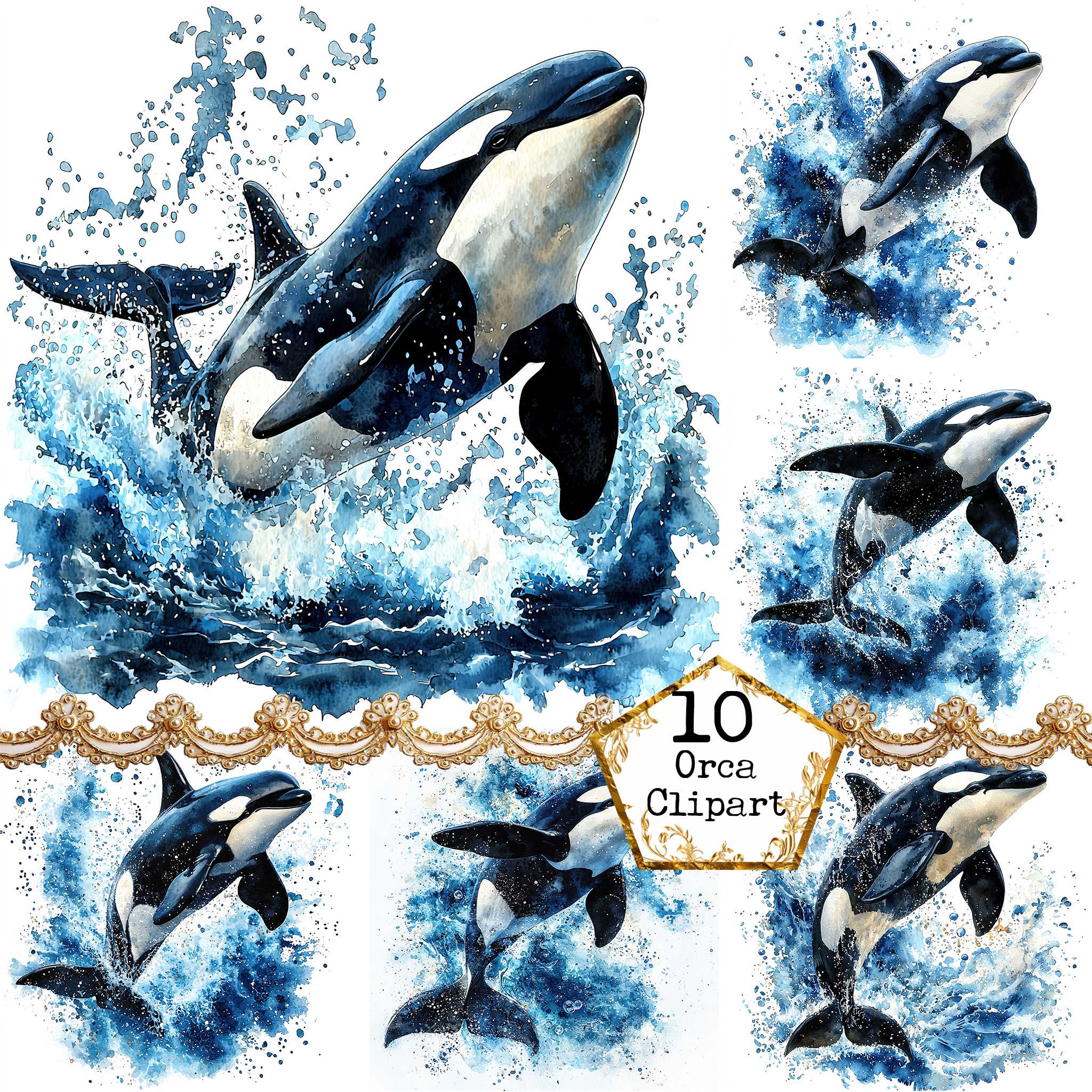 JPEG Watercolor Orca Clipart Bundle Ocean Wave Clipart Summer Clipart ...