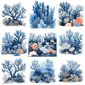 PNG + JPEG Watercolor Coral Reef Clipart Bundle See Life Clipart Ocean ...