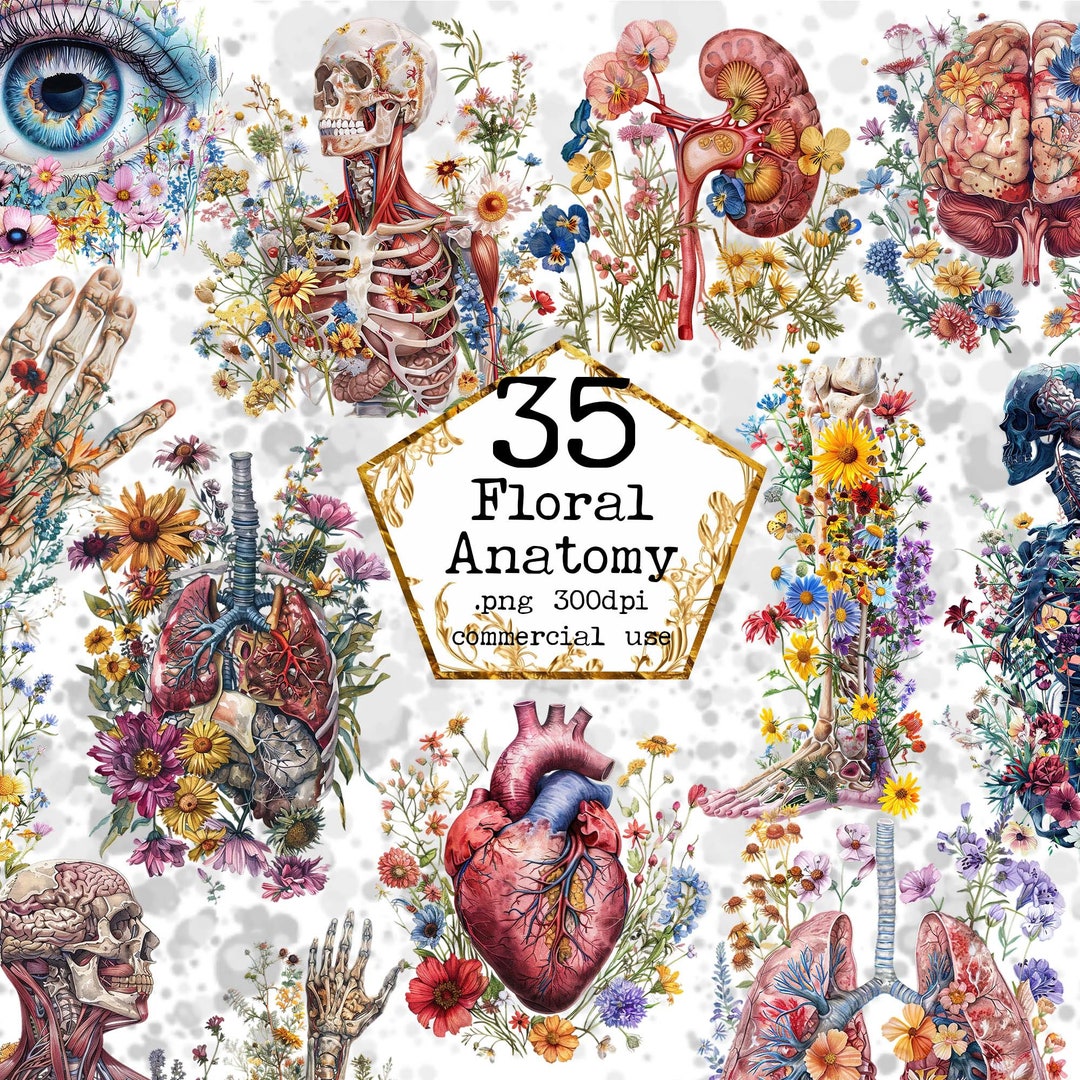 Watercolor Lungs, Brain and Heart Ephemera Clipart, Digital Planner ...