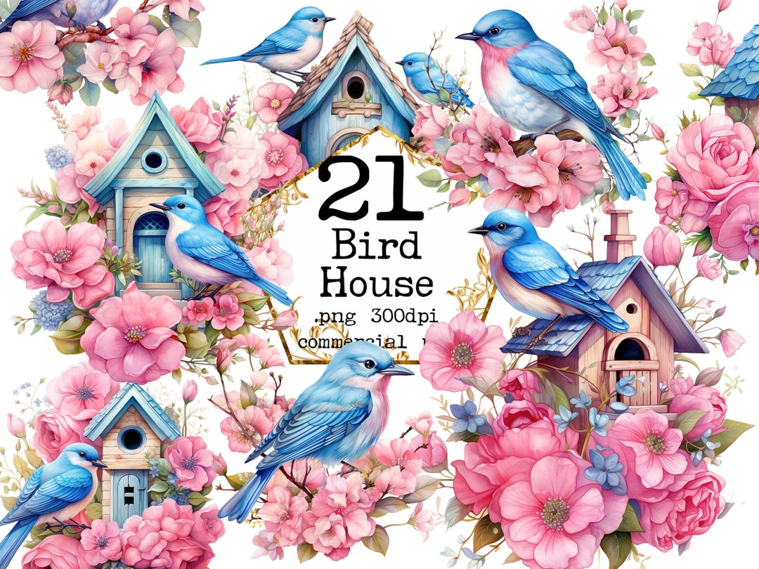 PNG Watercolor Birdhouse Clipart Bundle Bird Clipart Floral Bird ...