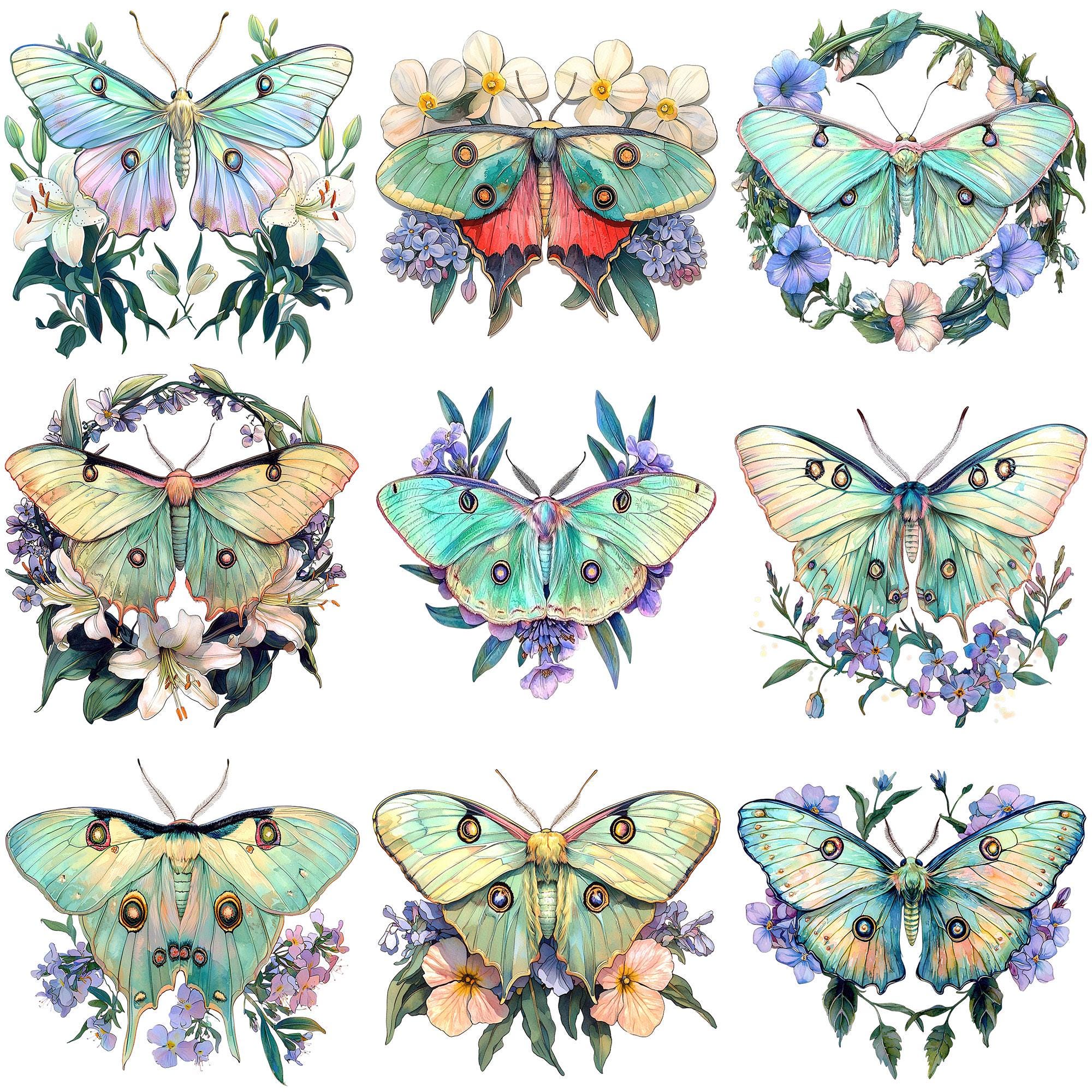 PNG + JPEG Watercolor Botanical Moth Clipart Bundle Spring Clipart ...
