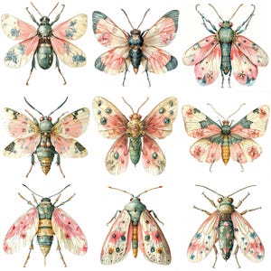 JPEG Floral Moth Clipart Bundle Pastel Insect Fantasy Moth Clipart ...