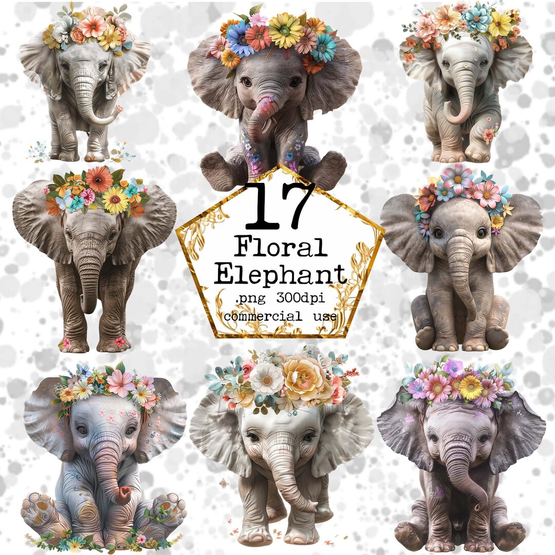 Floral Elephant Clipart Bundle Elephant Illustration Elephant Graphics ...